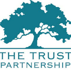 The Trust Partnership Ltd repair reporting